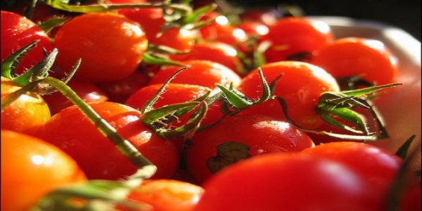 1169_ppal_tomate.jpg